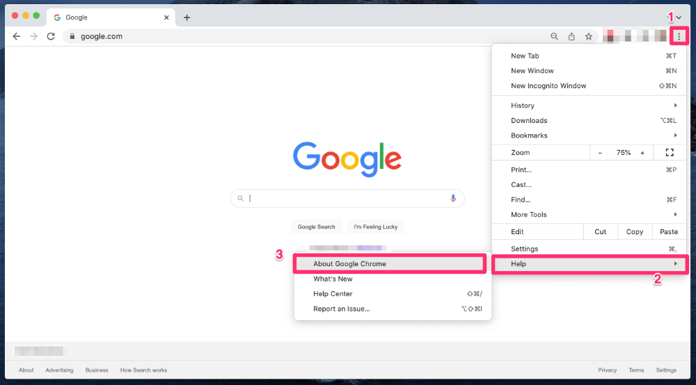 How To Check The Chrome Version On Mac 4 Quick Steps 